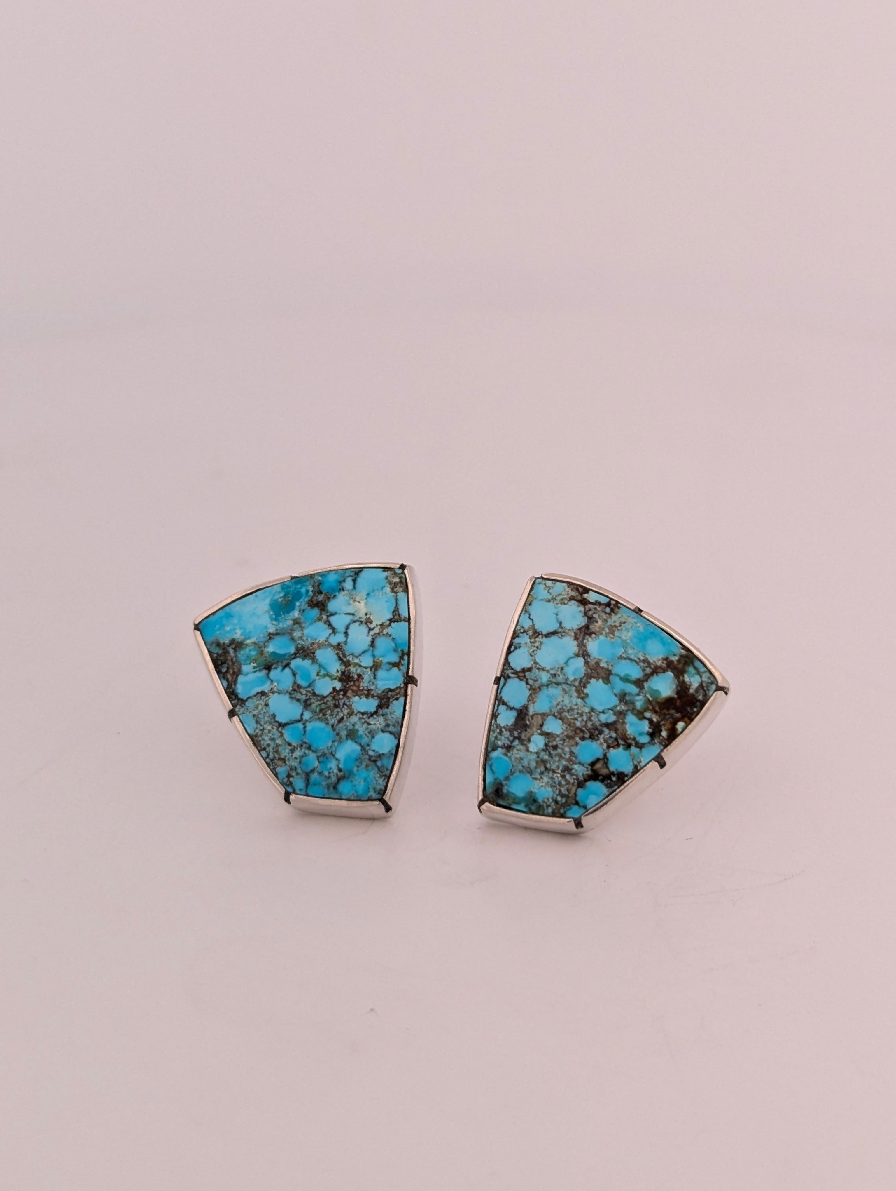 Beaver Springs Sterling Silver Earrings with Kingman Turquoise ...
