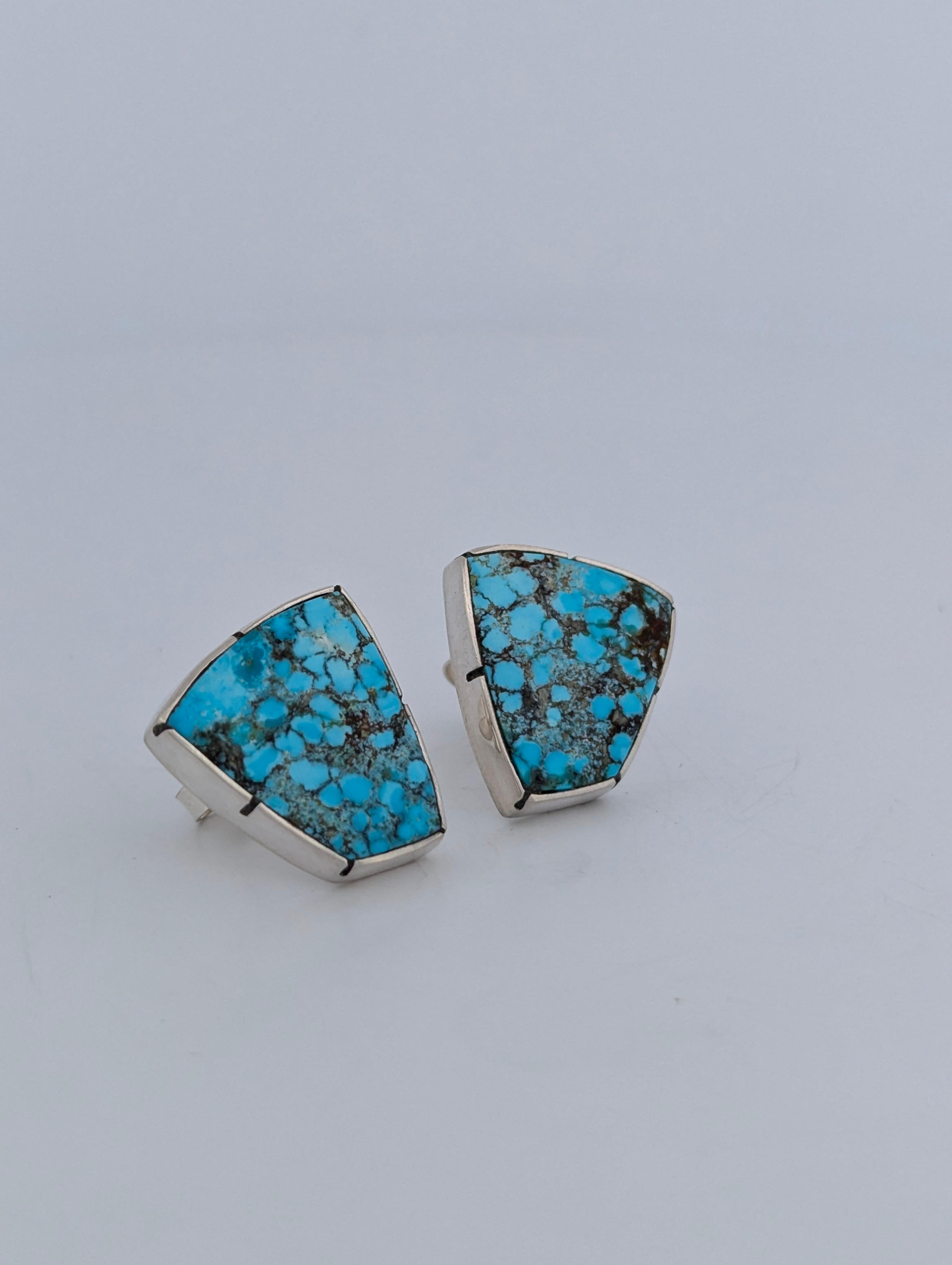 Beaver Springs Sterling Silver Earrings with Kingman Turquoise ...