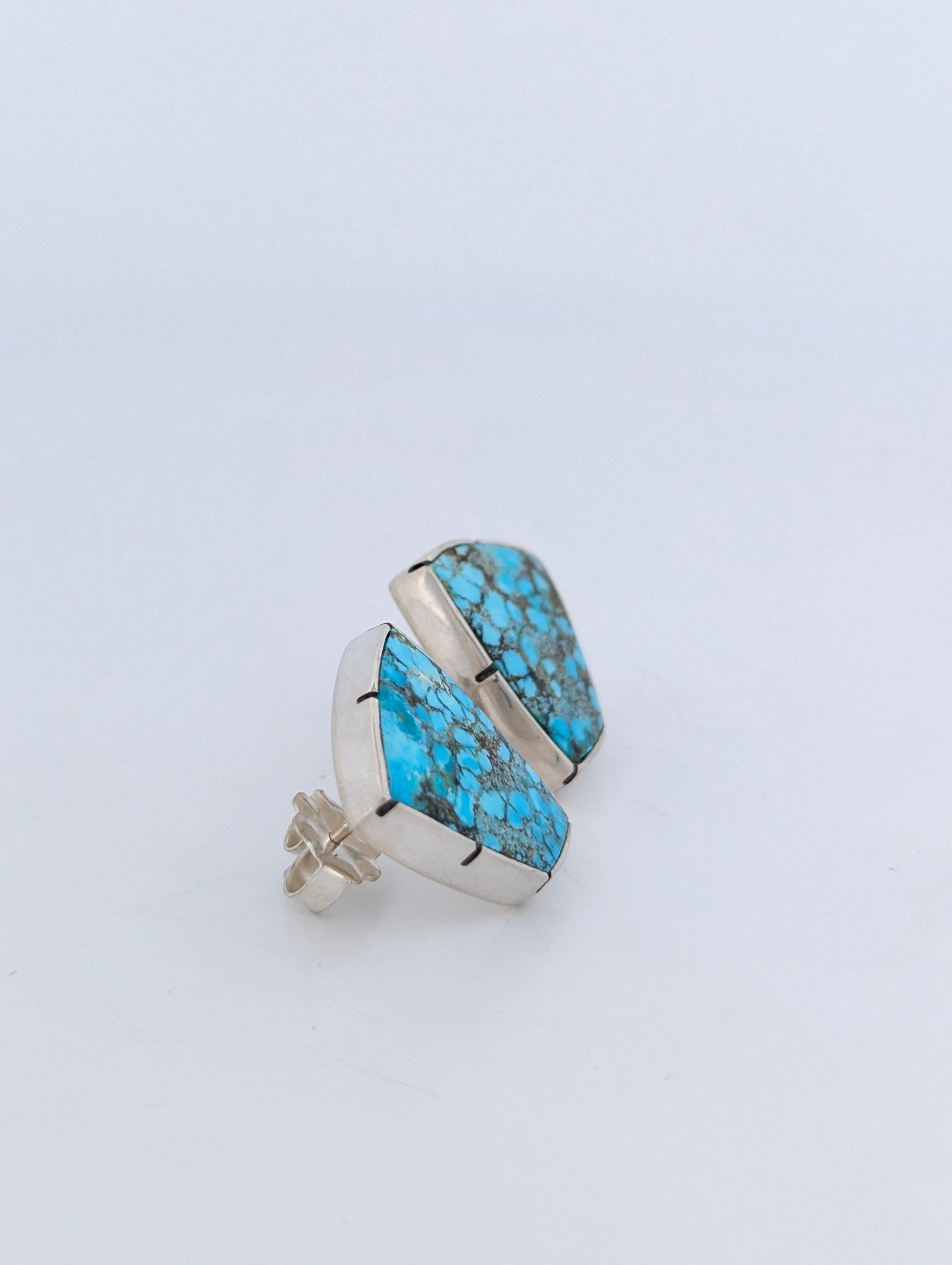 Beaver Springs Sterling Silver Earrings with Kingman Turquoise ...