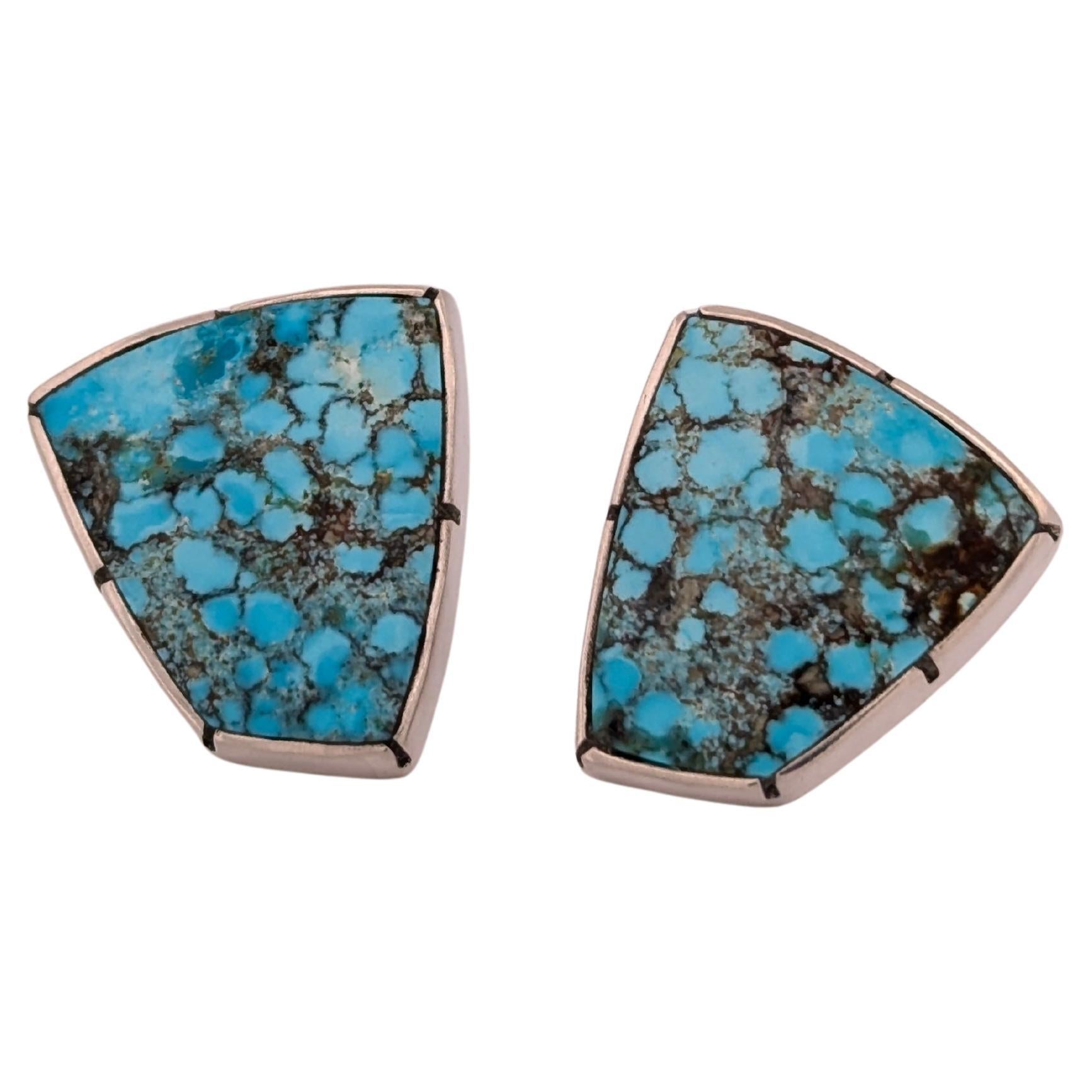 Beaver Springs Sterling Silver Earrings with Kingman Turquoise ...