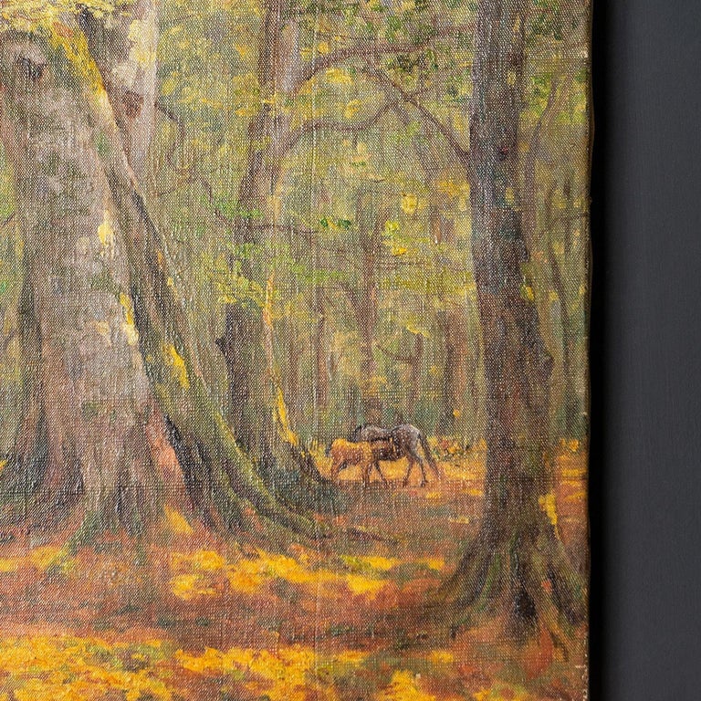 'Beeches In The New Forest', Oil On Canvas by Charles S. Meacham, 1920s ...