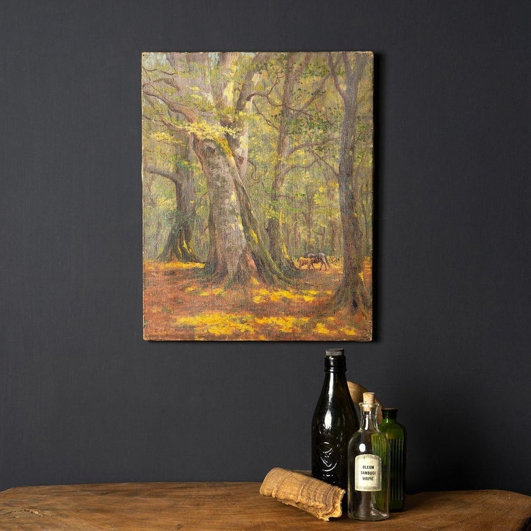 'Beeches In The New Forest', Oil On Canvas by Charles S. Meacham, 1920s ...