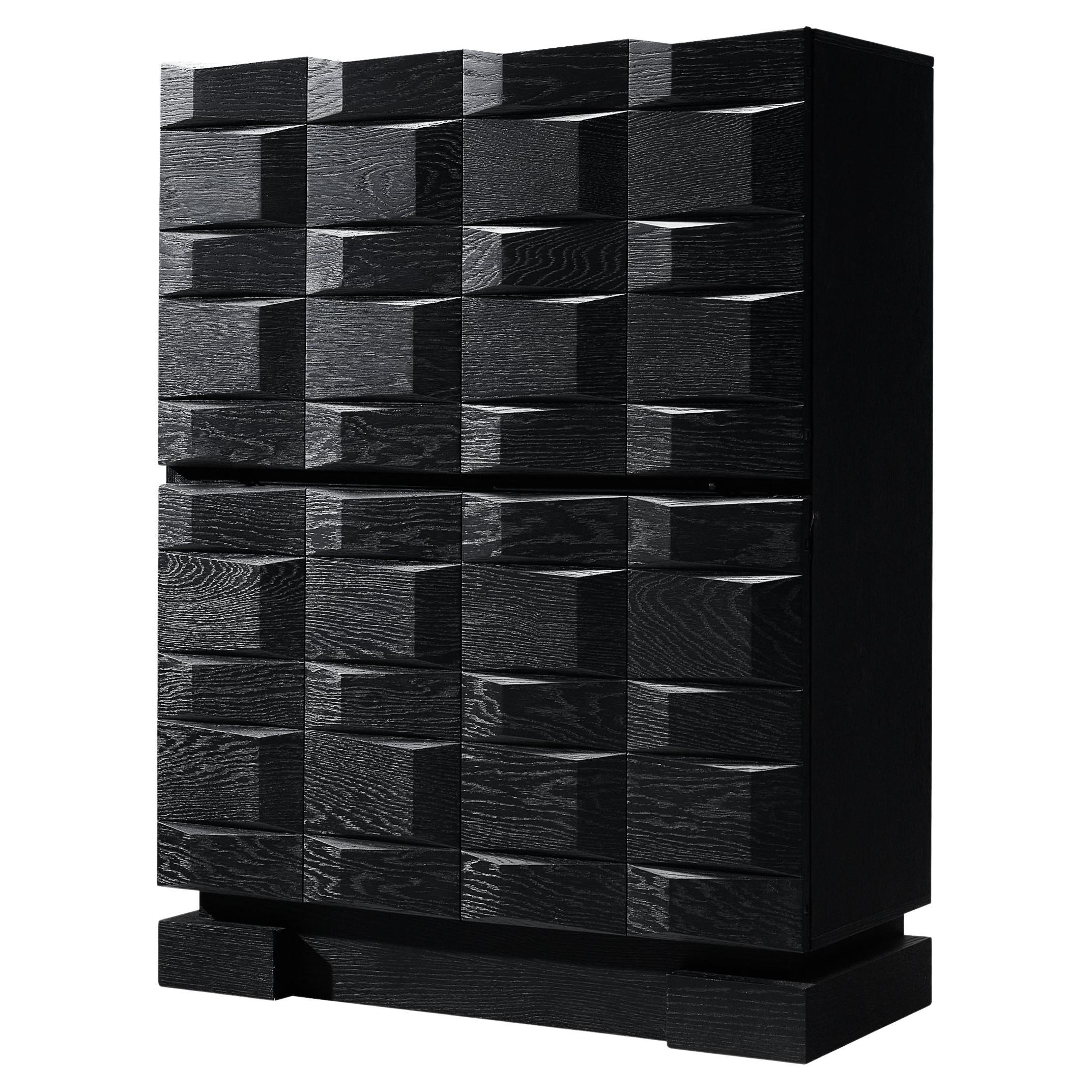 Modern Small Cabinet for Living Room in Black Lacquer and Black Oak For ...