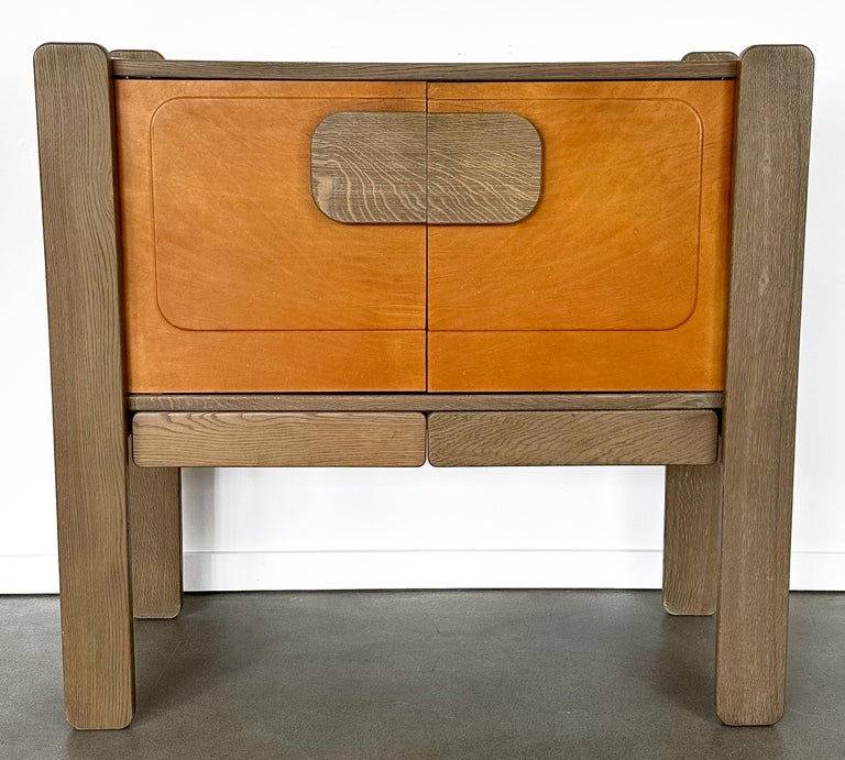 Belgian Brutalist Leather Front 2 Door Cabinet For Sale at 1stDibs
