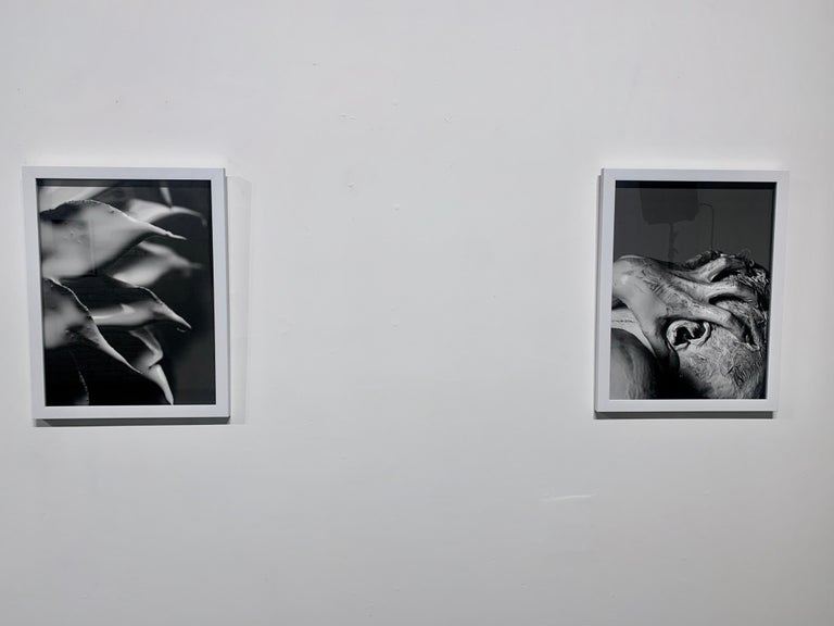 Ben Cope - "Grip" Photography 24" x 18" inch Edition 1/20 by Ben Cope ...