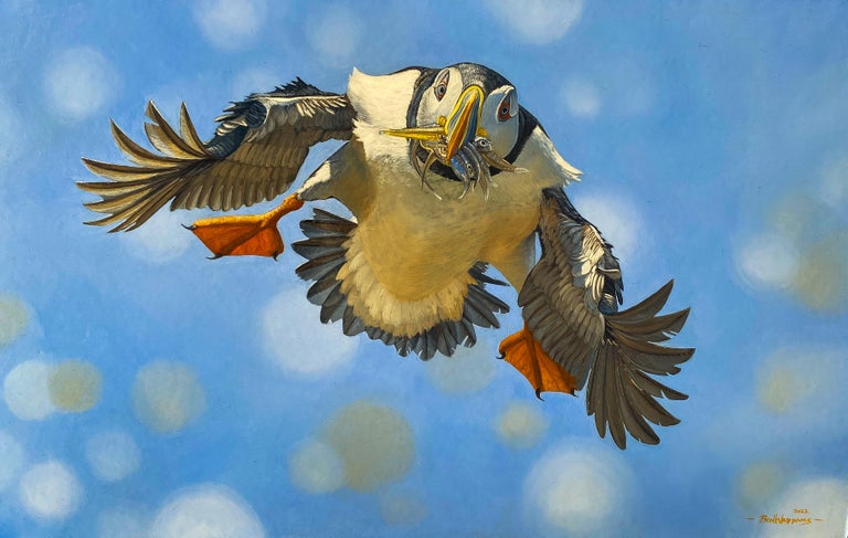 Ben Waddams - 'Inbound' Wildlife photorealist painting of a puffin in ...