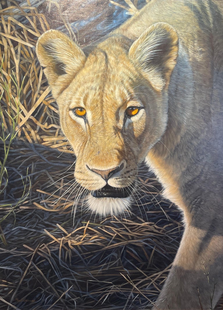 Ben Waddams - 'Lioness' Contemporary Realist painting of a lioness ...