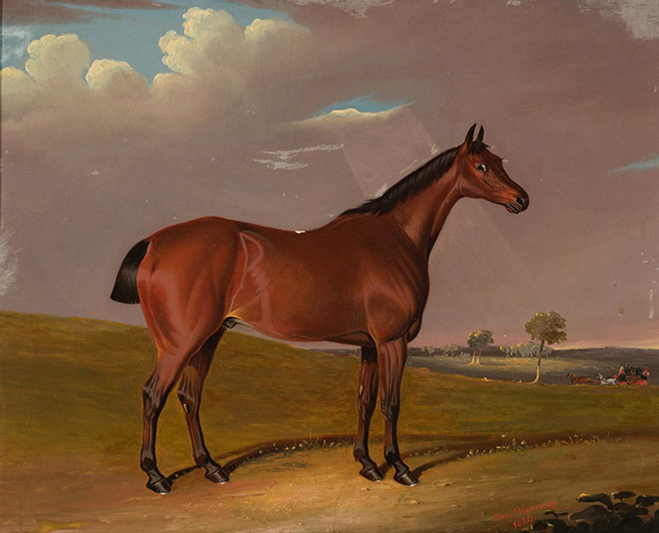 Benjamin Herring Sr - Bay Hunter in a Landscape at 1stDibs | hunter x ...