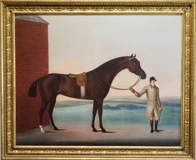 Benjamin Killingbeck - A dark bay racehorse held by his trainer at ...