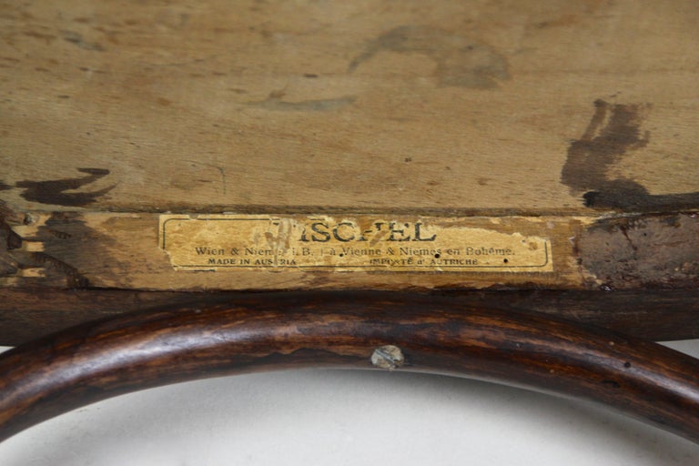 Bentwood Chair by Fischel Art Nouveau, Austria, circa 1905 at 1stDibs ...