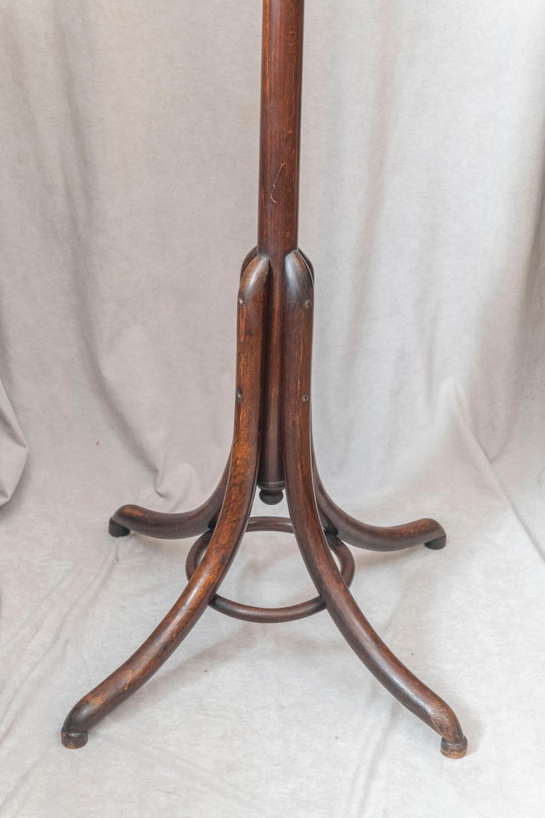 Bentwood Coat Rack, circa 1890 at 1stDibs