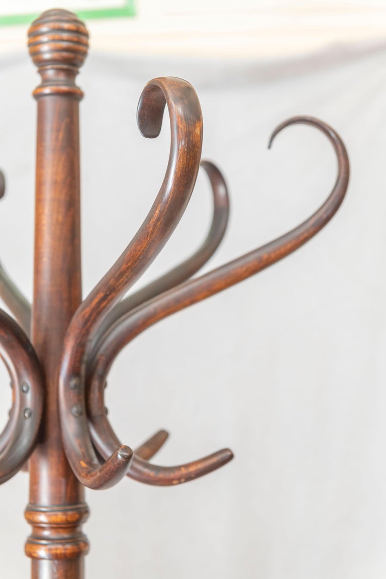 Bentwood Coat Rack, circa 1890 at 1stDibs