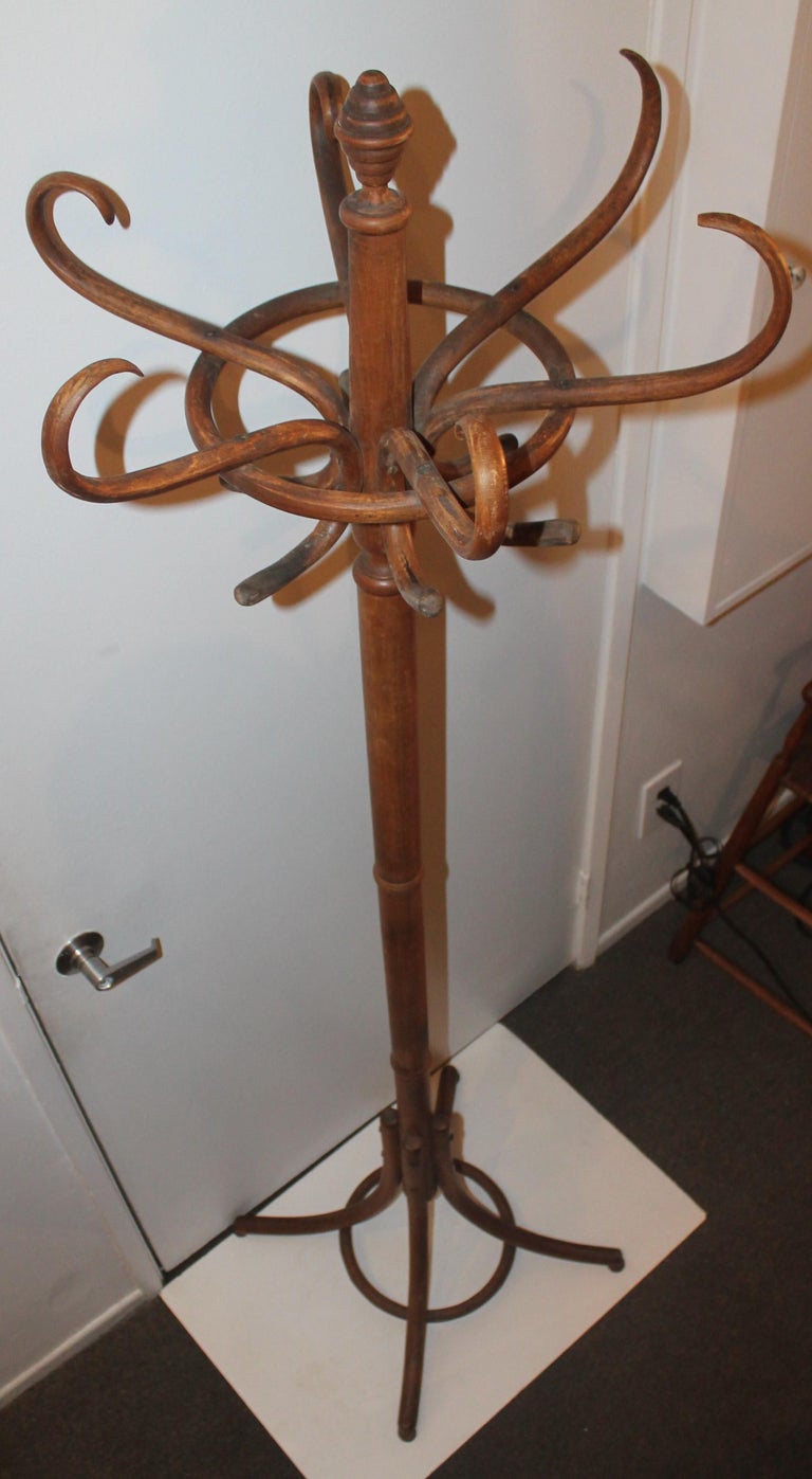 Bentwood Hat and Coat Stand at 1stDibs | bentwood hat stand