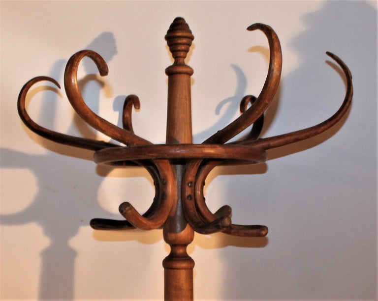 Bentwood Hat and Coat Stand at 1stDibs | bentwood hat stand