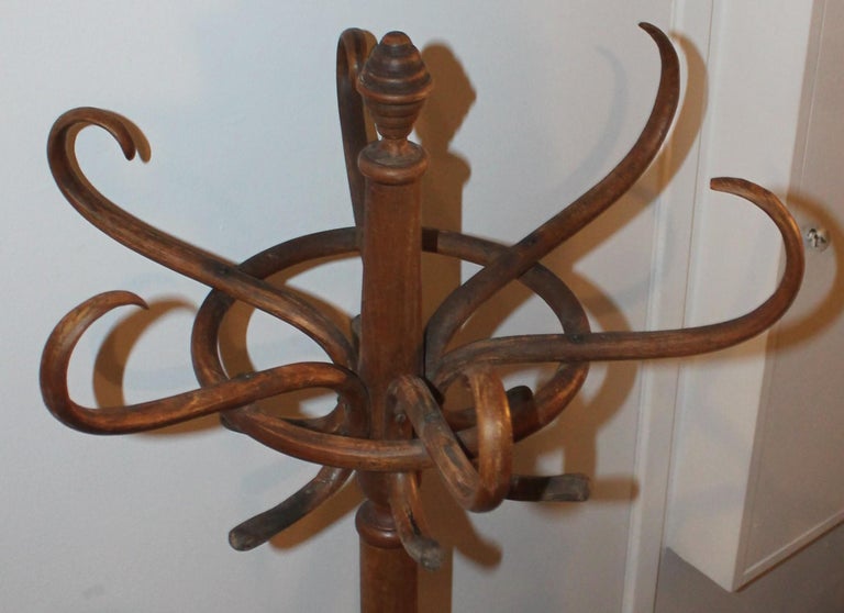 Bentwood Hat and Coat Stand at 1stDibs | bentwood hat stand