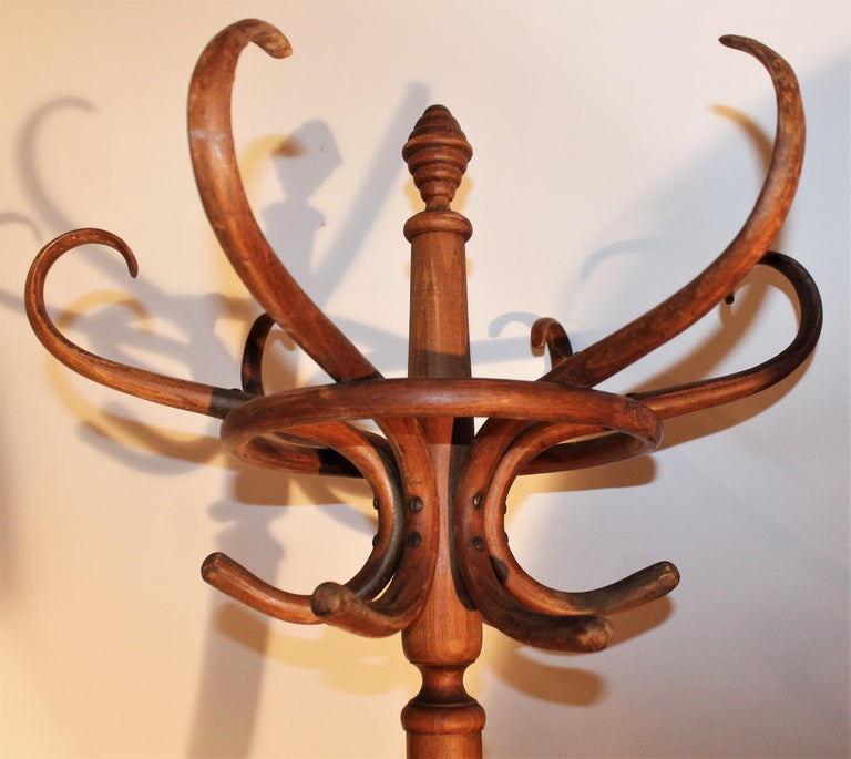 Bentwood Hat and Coat Stand at 1stDibs | bentwood hat stand