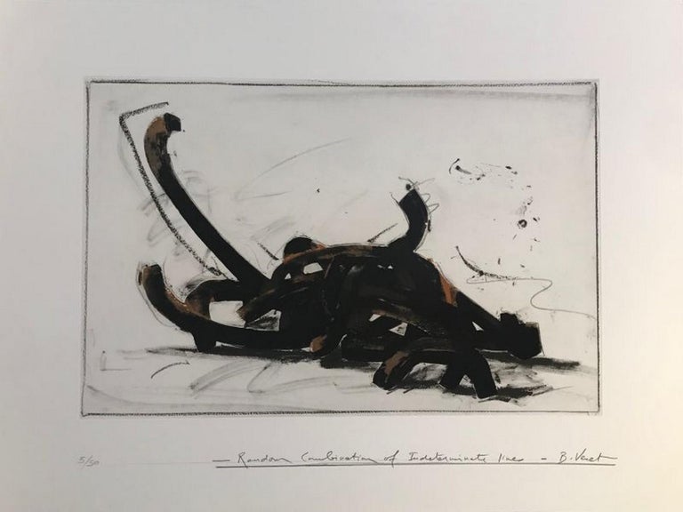 Bernar Venet - Random Combination of Indeterminate Lines For Sale at ...