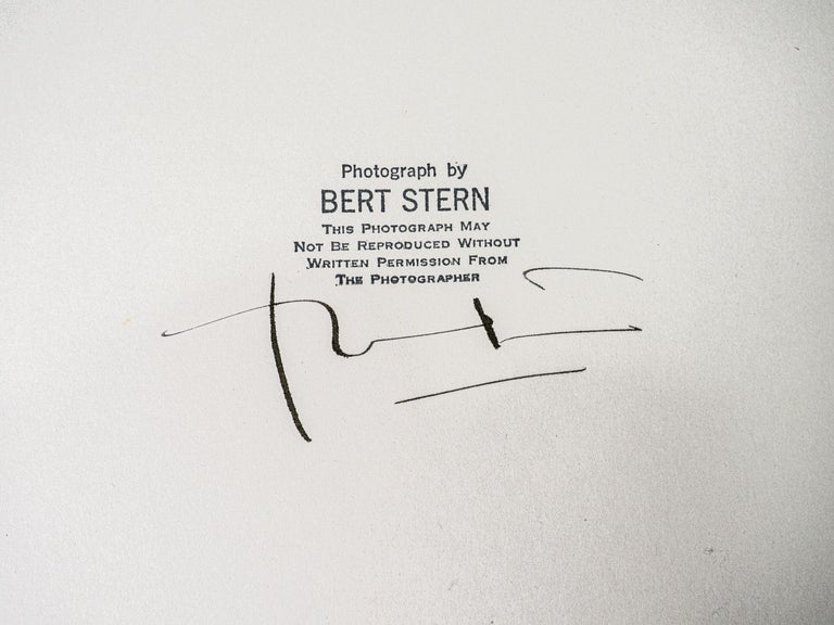 Bert Stern - Kenneth and Monique Chevalier for Vogue Classic 60's For ...