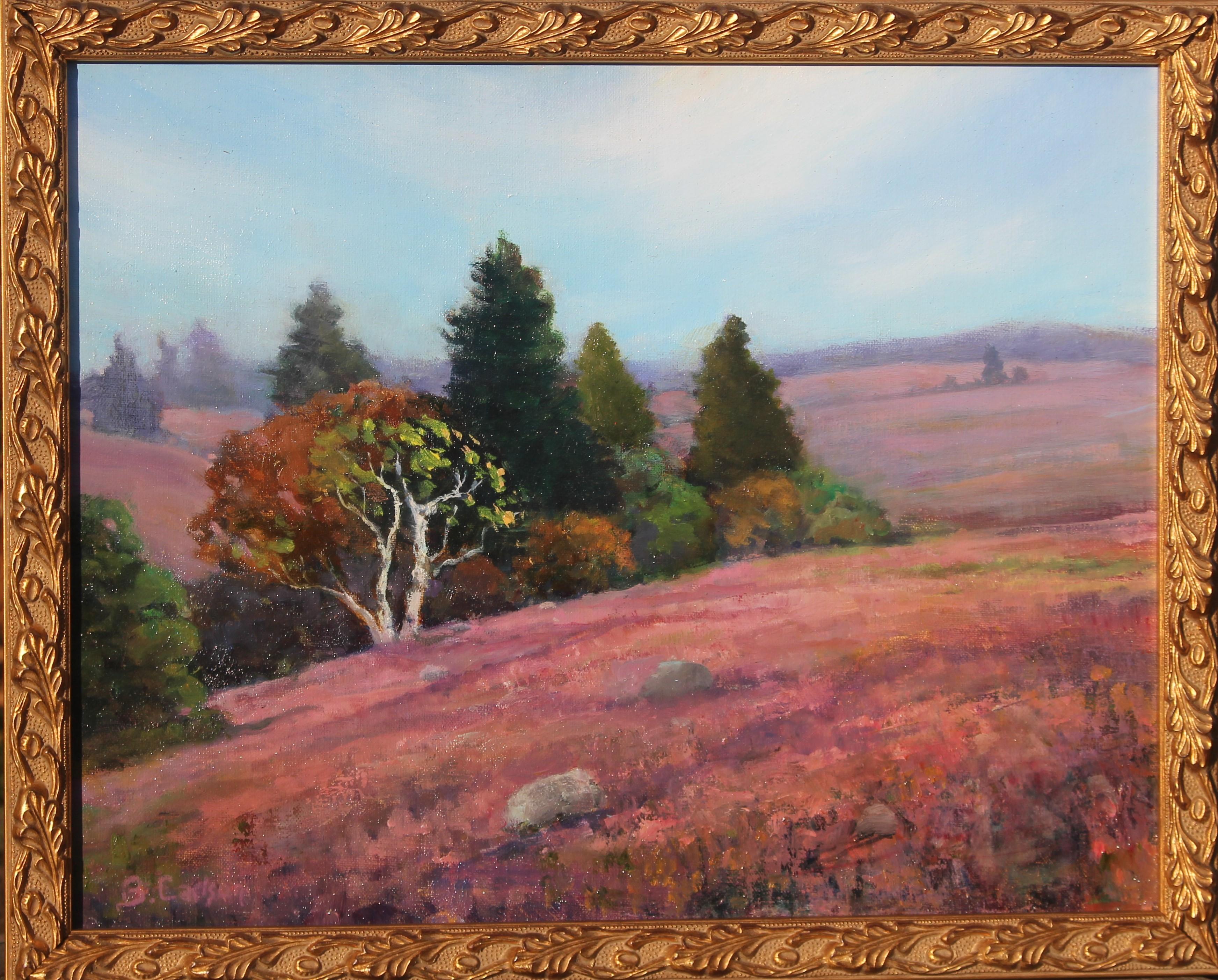 Beth Carlson - Stunning Red Blueberry Barrens in Fall Create An ...