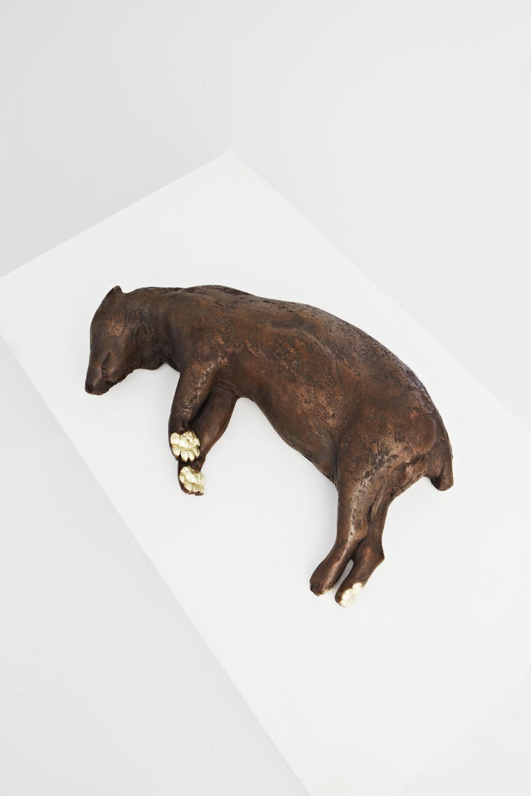 Beth Carter - Badger For Sale at 1stDibs