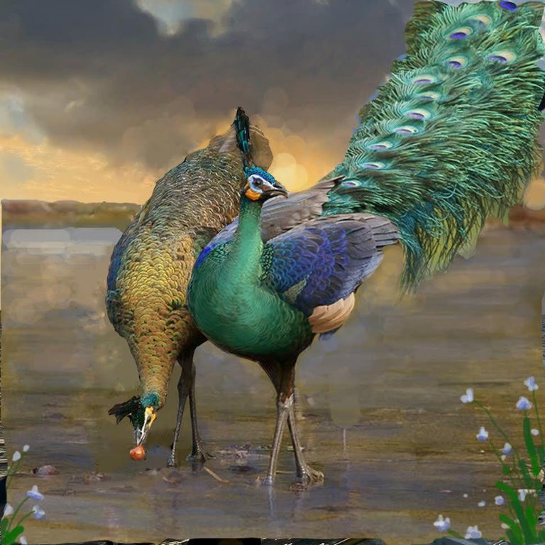 Beth de Loiselle - Pair of Peacocks at 1stDibs