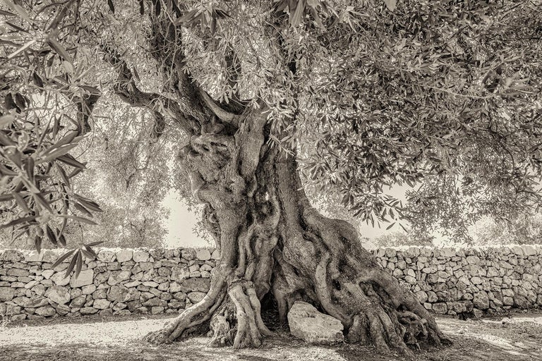 Beth Moon - Casarano II For Sale at 1stDibs