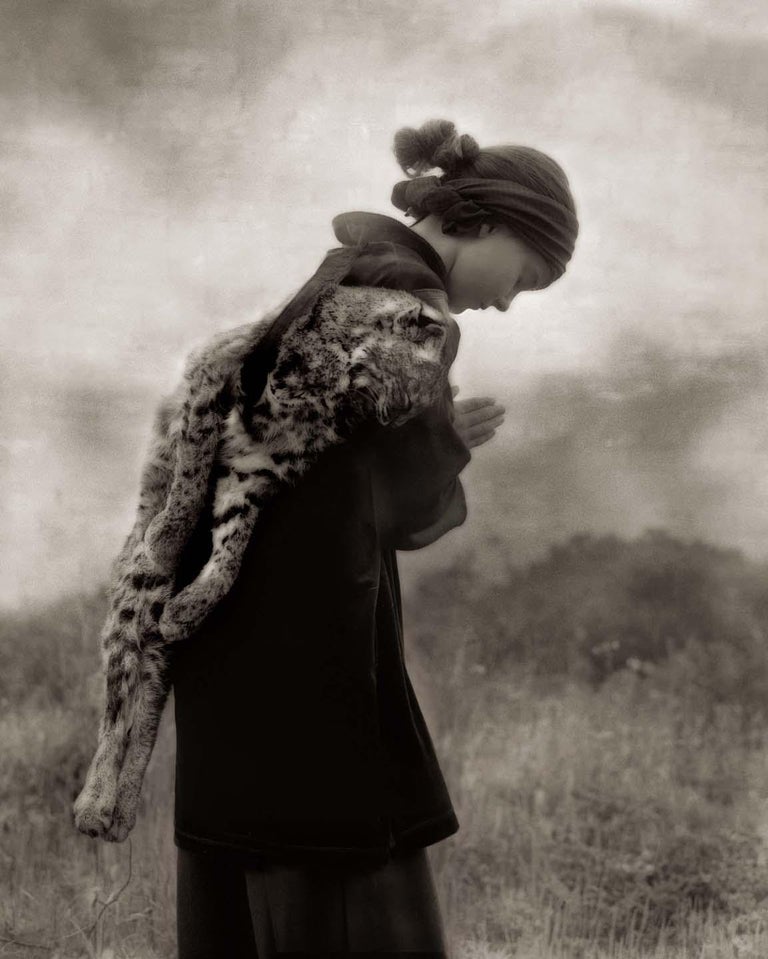 Beth Moon - Journey of the Bobcat 2 For Sale at 1stDibs