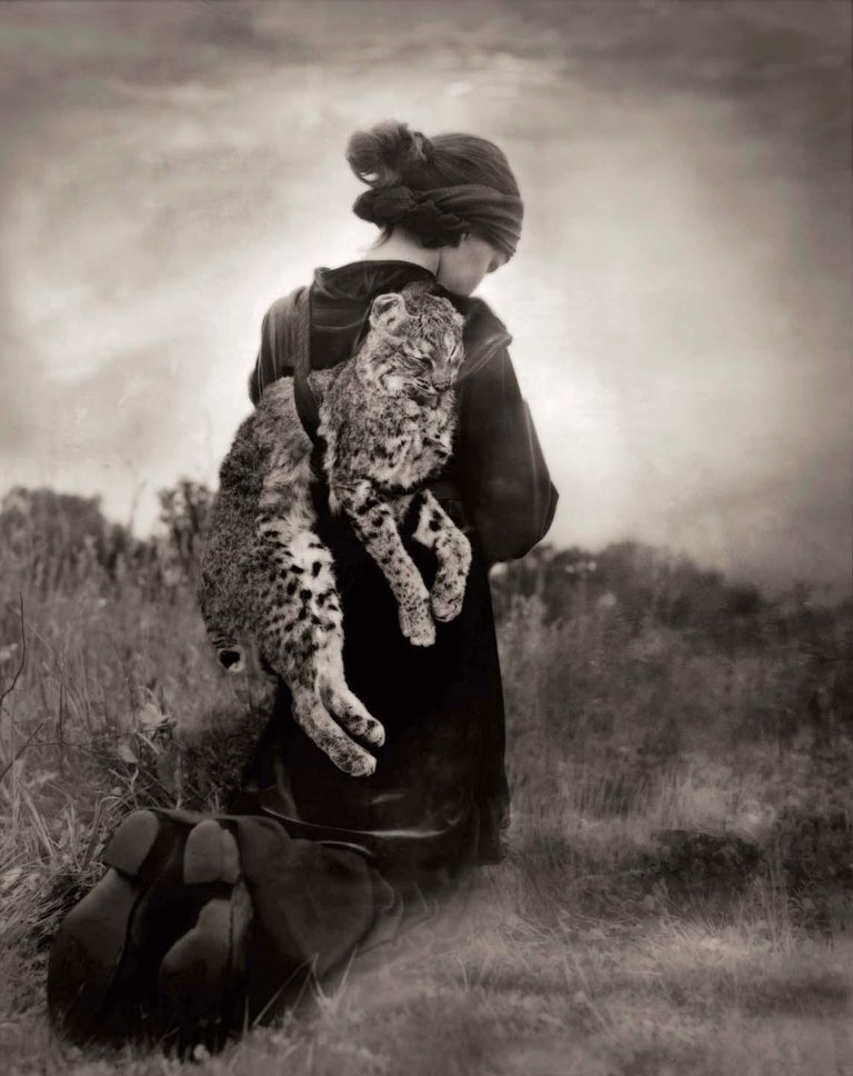 Beth Moon - Journey of the Bobcat For Sale at 1stDibs
