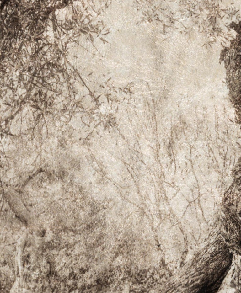 Beth Moon - Struda II For Sale at 1stDibs