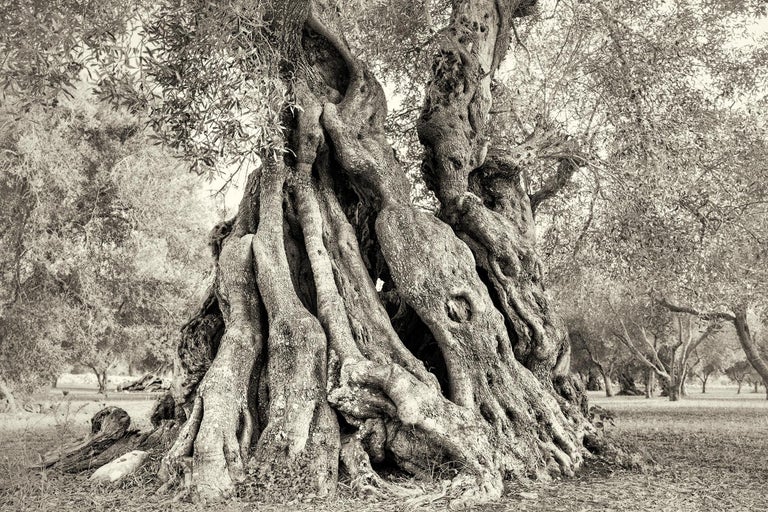 Beth Moon - Tricase I For Sale at 1stDibs