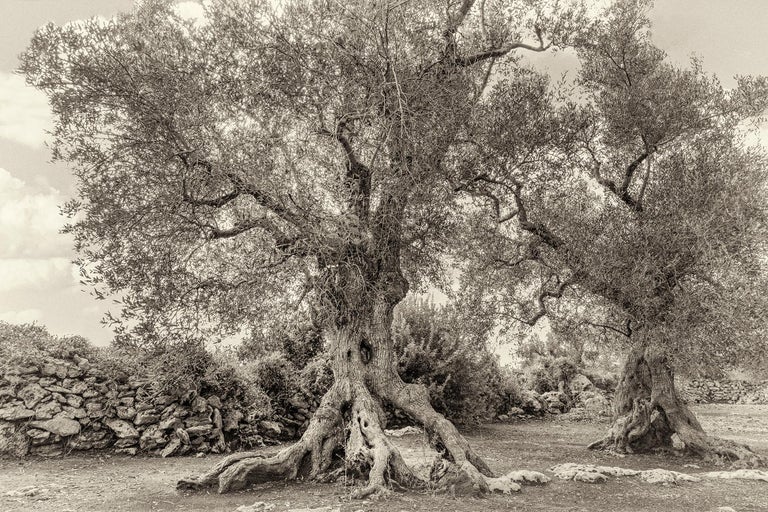 Beth Moon - Tricase II For Sale at 1stDibs