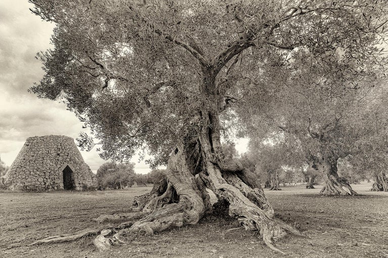 Beth Moon - Ugento II For Sale at 1stDibs