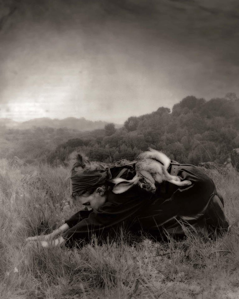 Beth Moon - Way of the Hare 2 For Sale at 1stDibs