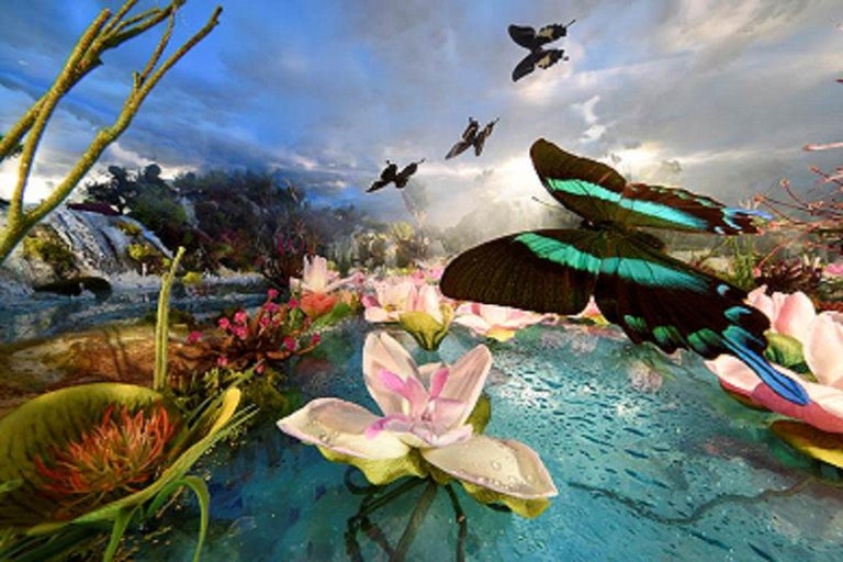 Bethany de Forest - Pink Tulip Lake Pinhole Photo on Dibond with UV ...