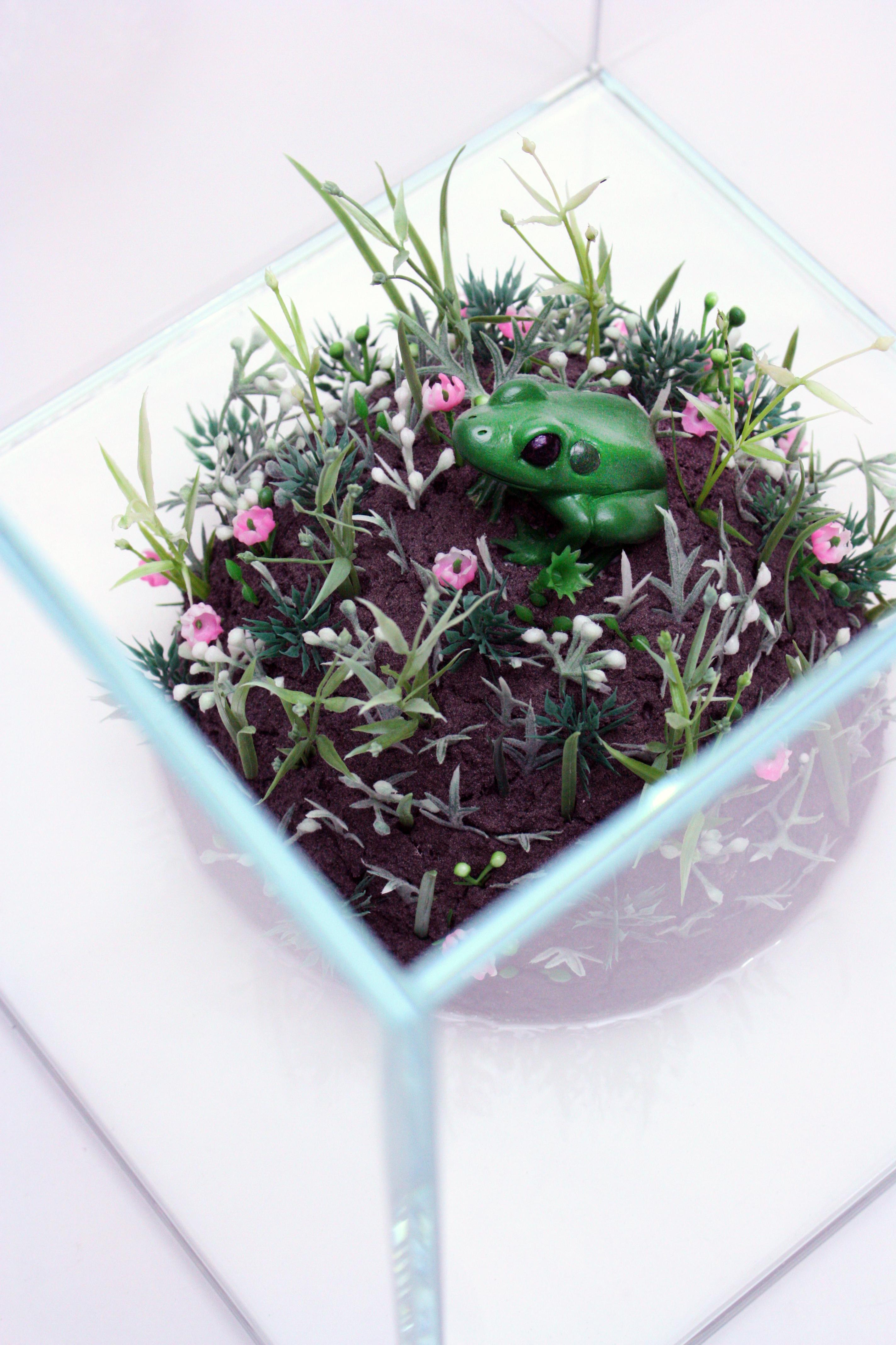 Bethany Krull - Ceramic Frog Sculpture in a glass aquarium, "Last of ...