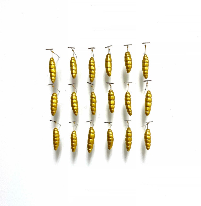 Bethany Krull - Contemporary Sculpture Wall Installation Specimen Grid ...