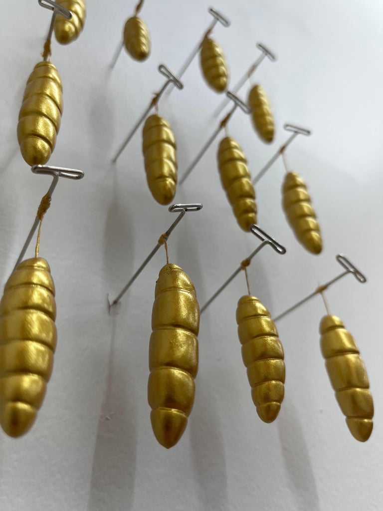 Bethany Krull - Golden Chrysalis Specimen Grid For Sale at 1stDibs