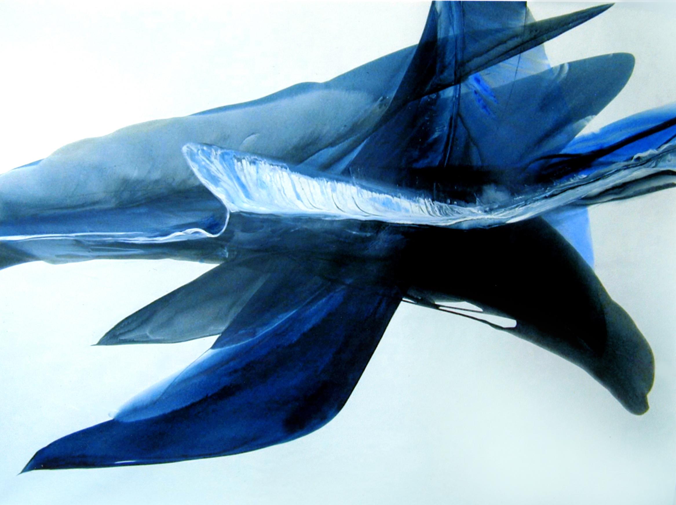 Scott Kerr - "Line Work" Diptych by American Artist Scott Kerr at 1stDibs