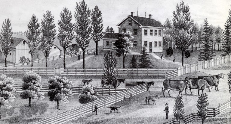 Between Fences by Gregory K. Dreicer, States 1st Ed For Sale at 1stDibs