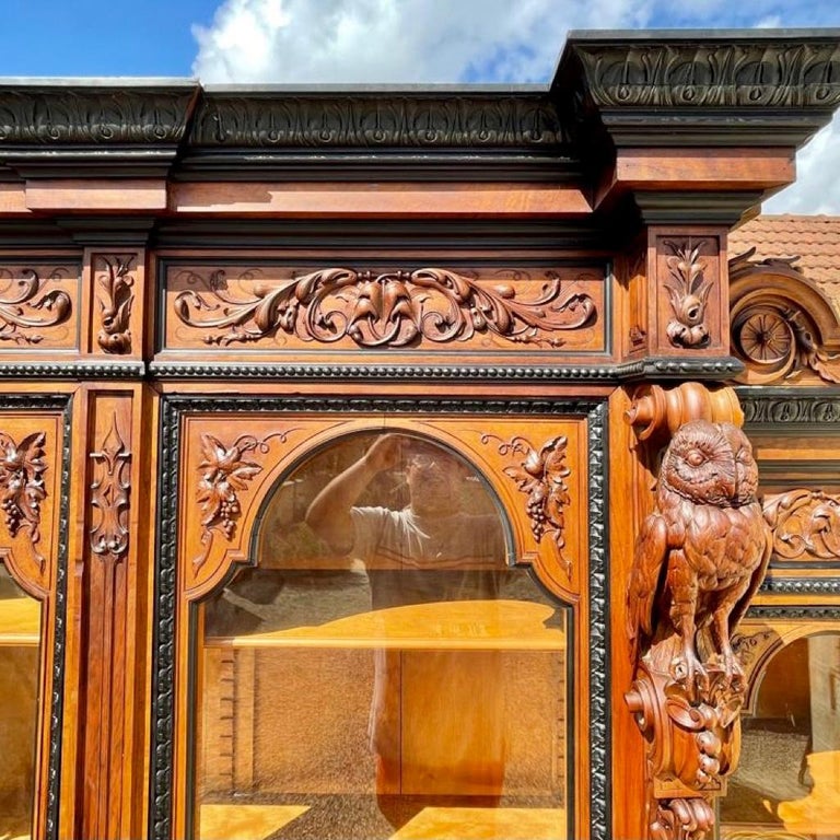 Castle Bookcase in Walnut and Ebony from Napoleon III Period, 19th ...