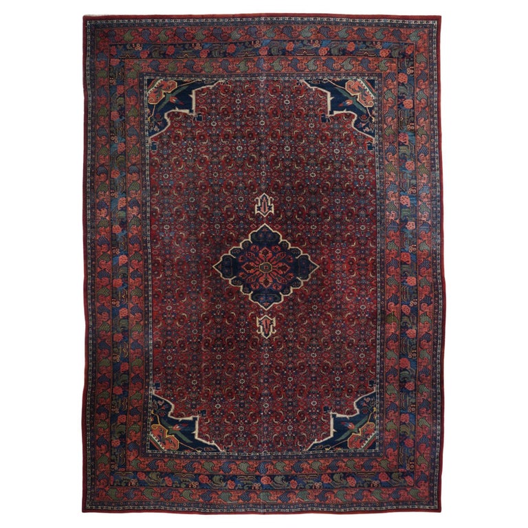 Bidjar Rug For Sale at 1stDibs