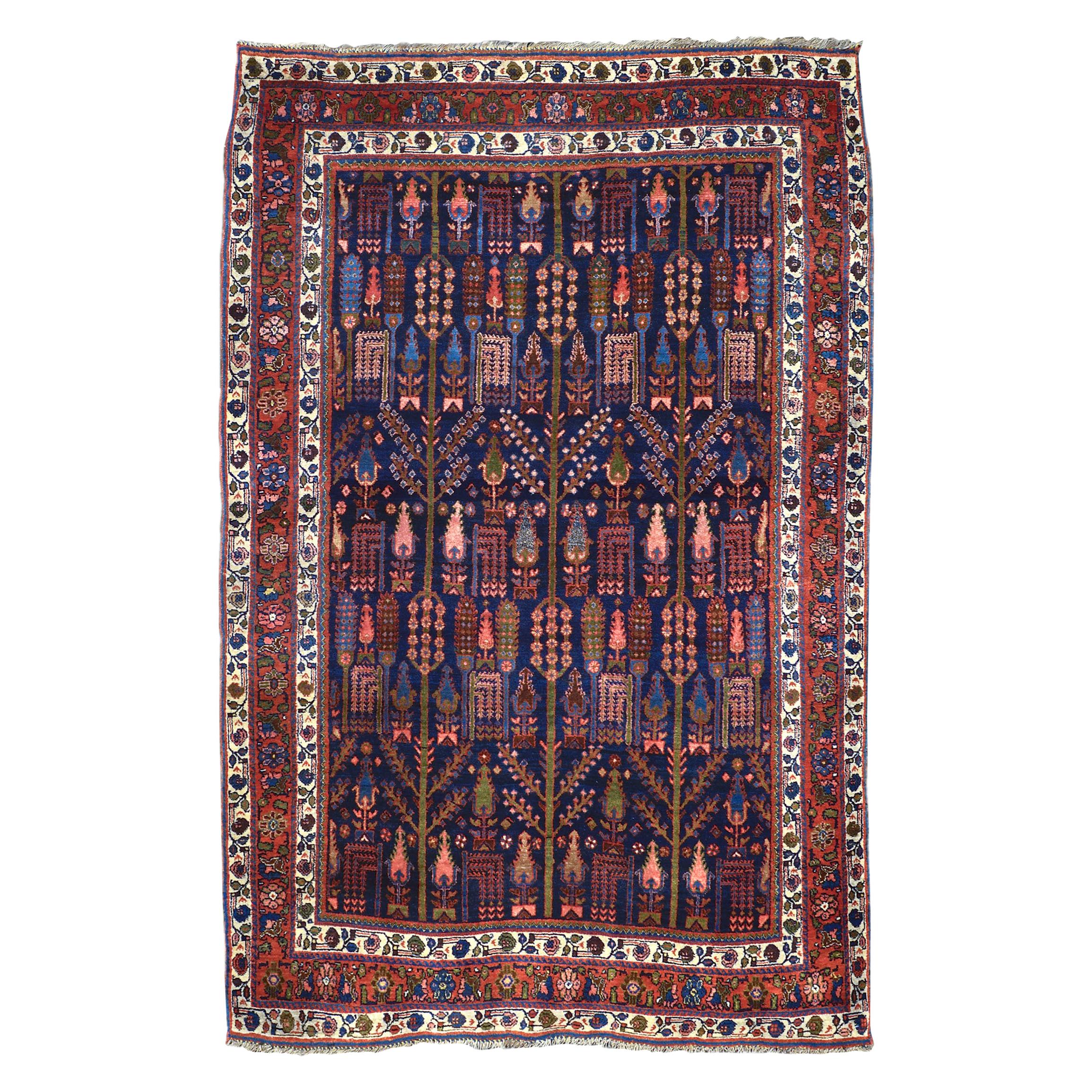 Beautifully Designed Modern Bidjar Rug For Sale at 1stDibs
