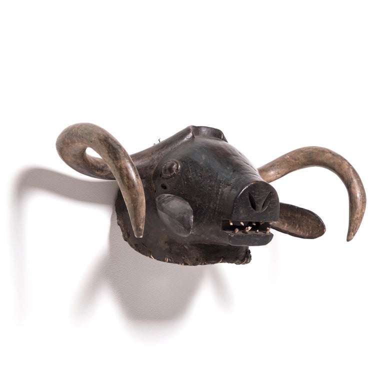 Bidjogo Tribal Initiation Ox Mask at 1stDibs
