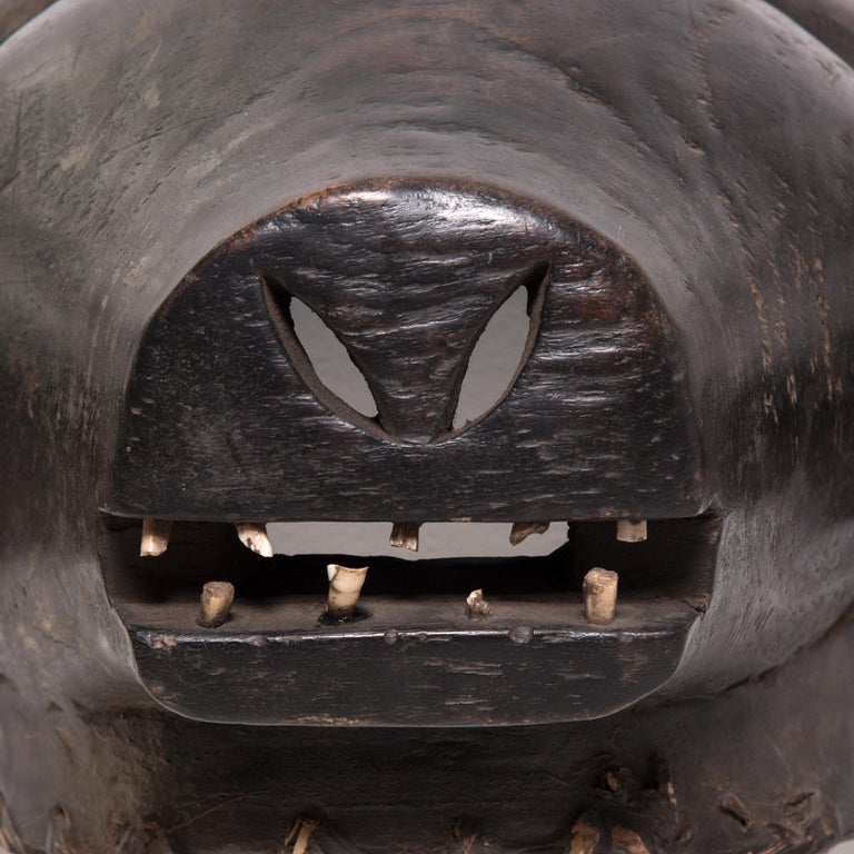 Bidjogo Tribal Initiation Ox Mask at 1stDibs