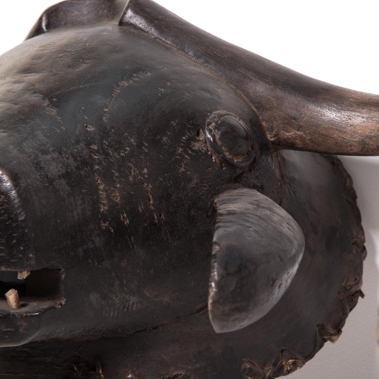 Bidjogo Tribal Initiation Ox Mask at 1stDibs
