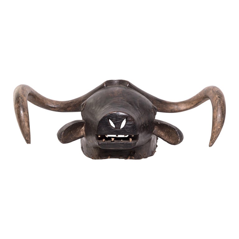 Bidjogo Tribal Initiation Ox Mask at 1stDibs