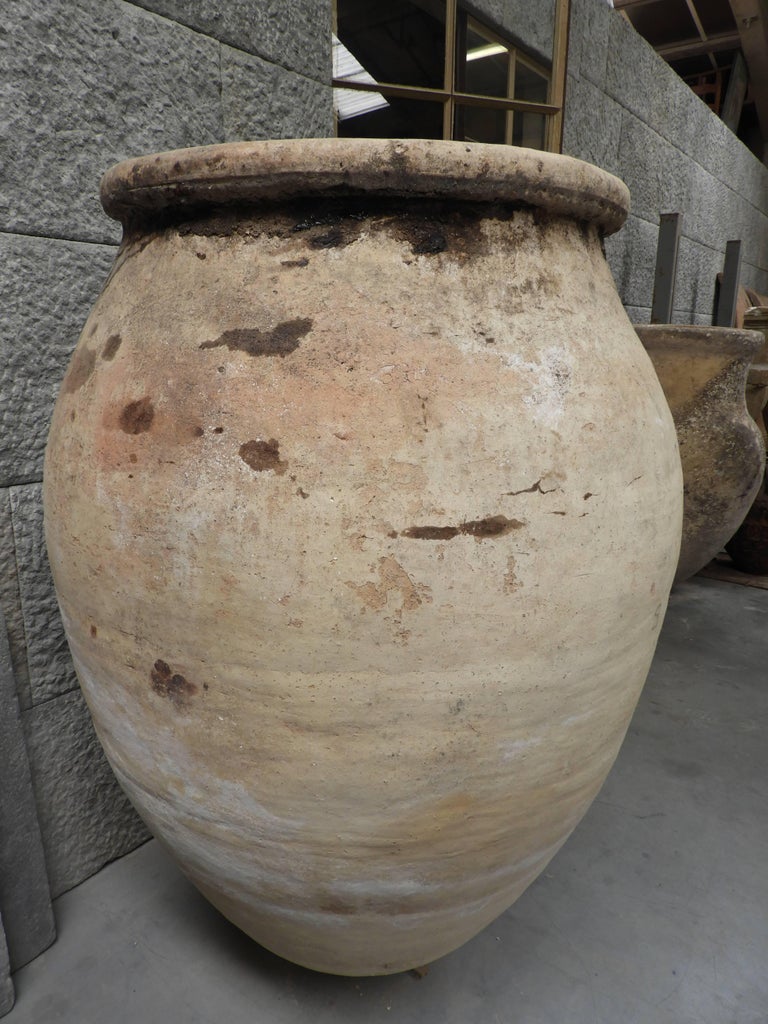 Big 20th Century Spanish Olive Jar For Sale at 1stDibs
