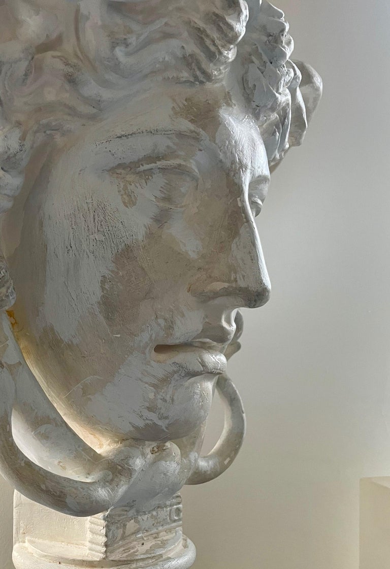 Big Plaster Sculpture of Medusa Head, Belgium 1960 For Sale at 1stDibs