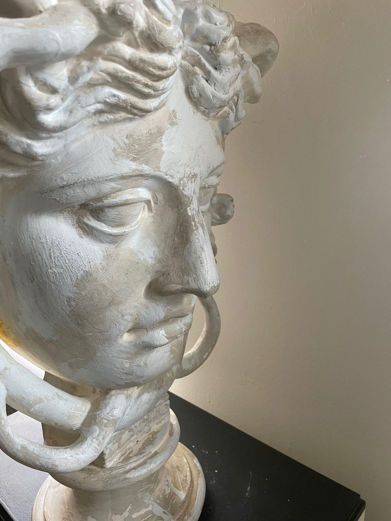 Big Plaster Sculpture of Medusa Head, Belgium 1960 For Sale at 1stDibs