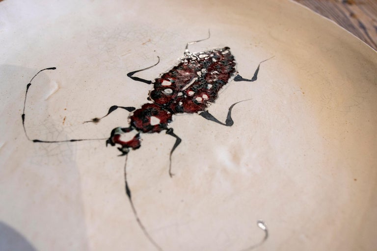 Big Round Plate in hand painted Ceramic with Insect For Sale at 1stDibs